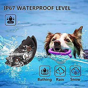 Paipaitek No Shock Dog Training Collar, Rechargeable & Waterproof No Shock Dog Collar with Remote, Up to 1600Ft Remote Range