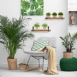 ROBOPOWER Wooden Floating Shelves Wall Mounted 3 Packs Wood Shelves with L Iron Brackets Shelves for Home Decor Bedroom, Living Room, Bathroom, Kitchen, Office(Hook-Up, Light Brown)