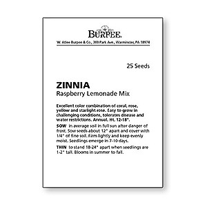 Burpee Raspberry Lemonade Mix Zinnia Seeds 25 seeds