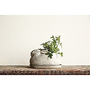 Creative Co-Op Cement Rabbit Planter with Saucer (Set of 2 Pieces)