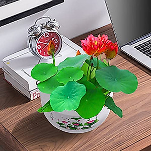 DOITOOL Small Terracotta Pots Succulent Planter Pots Bonsai Pots Shallow Round Flower Pot Hydroponic Vase Succulent Planter Bowl for Indoor Cactus Plants Plastic Plant Pots