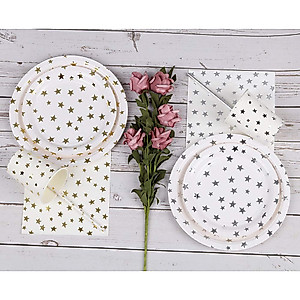 Ottin White and Silver Stars Paper Plates 9'' 48 Counts Twinkle Twinkle Little Star Party Plates for Wedding Birthday Bridal Shower Christmas New Year Winter Party Mother's Day