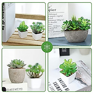 CEWOR 10pcs Artificial Succulent Plants Faux Succulents Unpotted Fake Succulent Plants Premium Crafting DIY Floral Decor for Home Garden Office Party