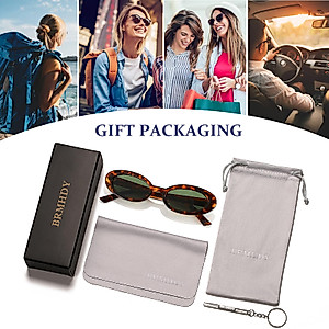 BRMHDY Retro Oval Sunglasses for Women 90s Vintage Womens Tiny Small Oval Glasses Fashion Black Cat Eye Shades (Leopard/G15)