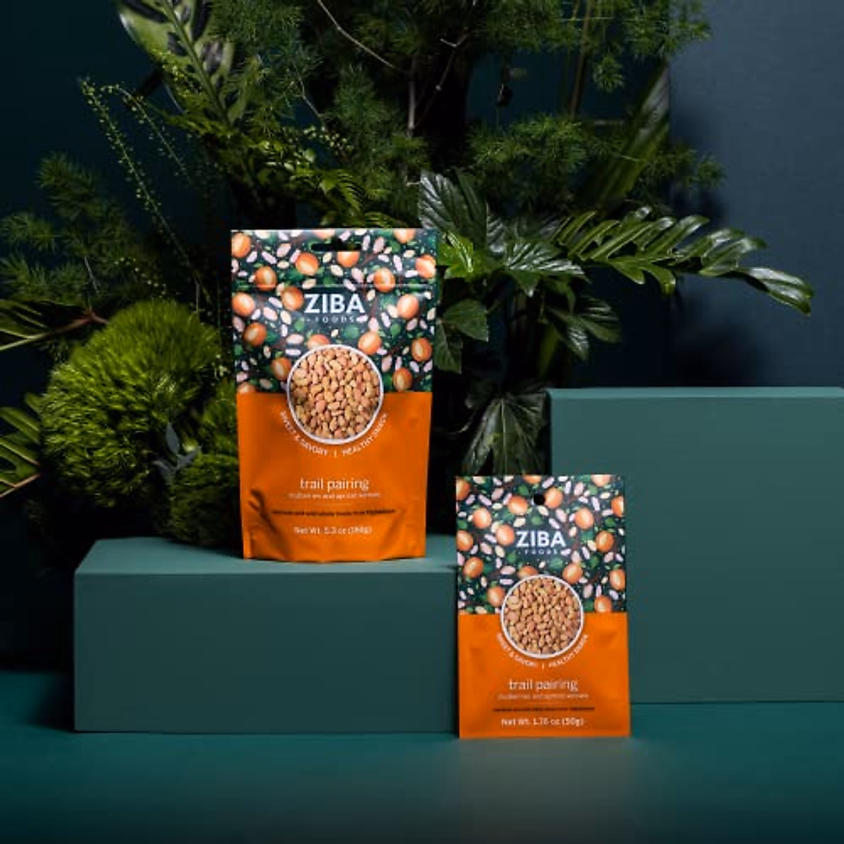 Ziba Foods Trail Pairing - Sweet Apricot Kernels & Dried Mulberries Mix - Non-GMO, Vegan, Whole 30 Friendly & Paleo - High in Fiber, Iron & Immune Boosting Antioxidants - Sweet & Savory, Pack of 6