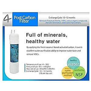 picogram Coconut-Based Post-Carbon Under-Sink Water Filter 8" 11" (11" (29cm))