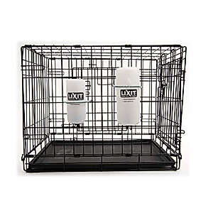 Lixit Wide Mouth Water Bottles for Large and Small Dogs (32oz Small Dog, White)