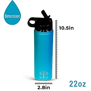 Nicepix Stainless Steel Thermal Insulated Water Bottle With Flip Top Straw & Spout Lid & Handle of size 22oz. Hot or Cold Metal Bottle in Insulated Thermos Double Wall Vacuum Stainless Steel Bottle