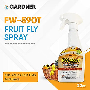 Gardner FlyWeb Fruit Fly Spray | All-Natural Spray for Flies, Bugs, Fleas, Ticks and Wasps - Does Not Leave a Residue, is Stain Free, Family and Pet Friendly (22oz)