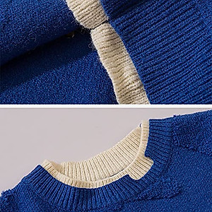 Aelfric Eden Men’s 3D Whale Jacquard Knit Sweater Graphic Printed Sweaters Long Sleeve Casual Oversized Sweater Pullover