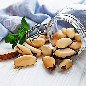 Jaybee's Roasted Salted Brazil Nuts - (32 oz) Great for Daily Use, Baking, Cooking and Gift Giving - Reusable Container - Kosher - Vegan, Paleo, Keto Friendly Healthy Snack