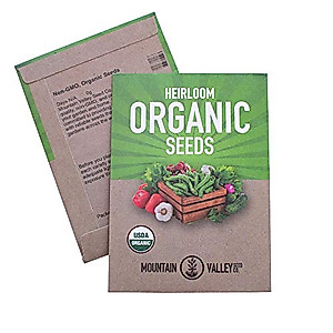 Organic Detroit Dark Red Beet Garden Seeds - 3 g Packet ~125 Seeds - Non-GMO, Heirloom Seed for Growing Microgreens, Vegetable Gardening