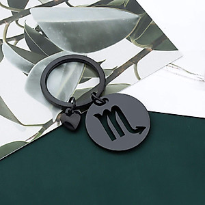 FAADBUK Zodiac Sign Keychain CZ Horoscope Gift Zodiac 12 Constellation Pendant Keyring Birthday Friendship Astrology Gift (Scorpio K-Bl)