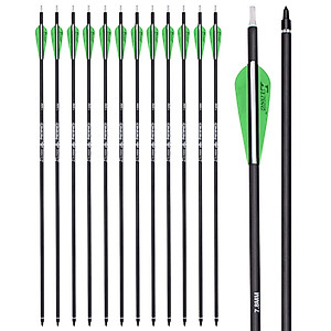 Archery Bow Carbon Arrow Hunting Target Practice Arrows 28 Inch with Removable Tips for Compound & Recurve Bow Spine 500 12PCS Pack