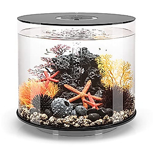 Tube 35 Aquarium with Standard Light - 9.2 Gallon, Black