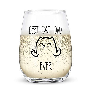 Cat Dad Stemless Wine Glass - Funny Dad Wine Glass for Cat Lovers, Dad, New Dad, Father, Papa, Dad Gifts for Christmas, Birthday, Father's Day 15Oz