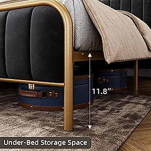 Senfot King Size Bed Frame with Gold Metal Frame, Modern Platform Bed, Noise Free Design, Wood Slats Support, No Box Spring Needed, Easy Assembly in Black