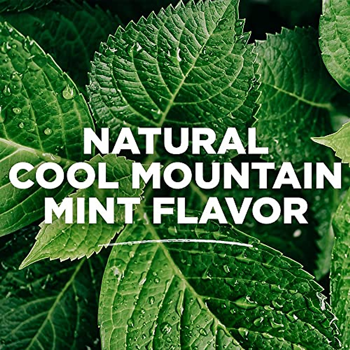 Tom's of Maine Long Lasting Wicked Fresh Mouthwash, Cool Mountain Mint - 16 oz - 2 pk by Tom's of Maine