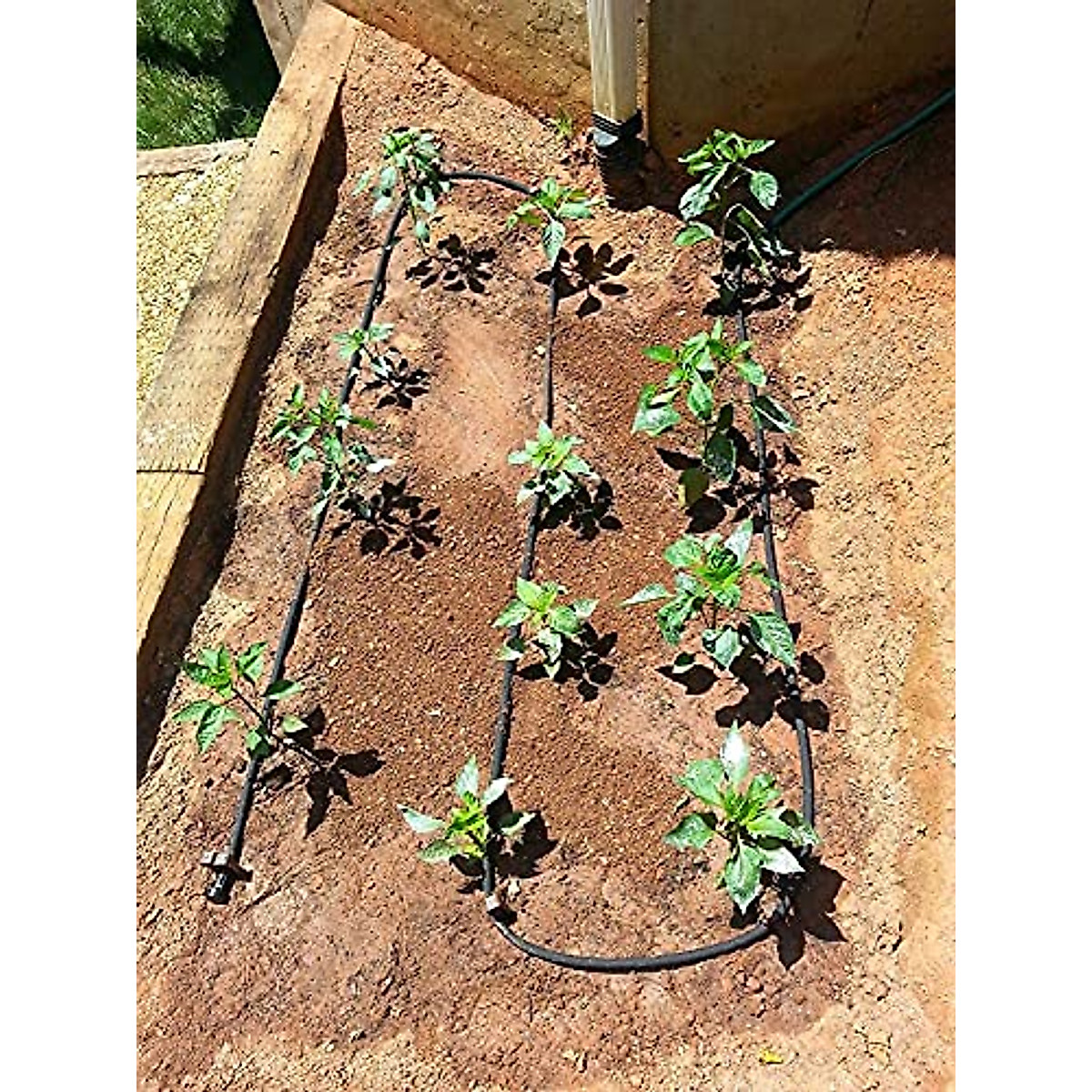 Rocky Mountain Goods Soaker Hose Flat (50’ Pack of 2) - Heavy Duty Double Layer Design - Saves 70% Water - Consistent Drip Throughout Hose - Leakproof Guarantee - Garden/Vegetable Safe