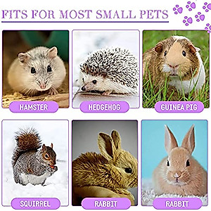 G YITENG Small Animal Bunk Bed Ferret Hammock Pet Rat Cage Hammock Sleep Bed Play Platform Tunnel Hamster Cage Accessories Hanging Hideout Tunnel Tube Toy (Purple)