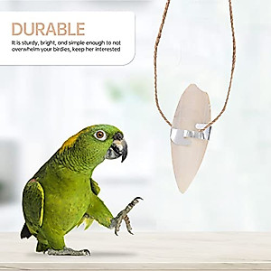 Hemobllo Cuttlebone for Birds- 6 Set Cuttlefish Bones with Metal Holder Parrot Cuddle Bone Chew Toy Pet Molar Toy Cuttlebone for Cockatiels Parakeets (10-12cm)