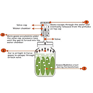 Jillmo Stainless Steel Fermentation Lids with Glass Weights for Wide Mouth Mason Jars (Jars Not Included)