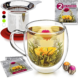 Teabloom Double-Wall Borosilicate Glass Mug with Stainless Steel Infuser and Lid – 15 OZ / 430 ML – 2 Gourmet Tea Flowers Included