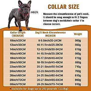 Dog Chain Collars, 32MM Heavy Duty Thick Cuban Link Dog Collar with Safe Buckle Design, Stainless Steel Metal Walking Collars Necklace for Medium Large Dogs