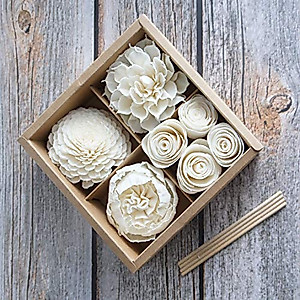 Mixed White Sola Flower with Cotton Wick Diffuser Set Replacement for Home Fragrance by Plawanature