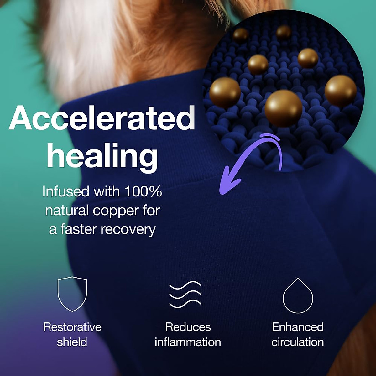 PupShield - Dog Surgery Recovery Suit for All Dog Sizes - Easy Use Anti Lick - Spay & Neuter Recovery Suit, Surgical Onesie for Dogs - Dog Cone Alternative (Blue, Small (Weight:24-35 LBS))