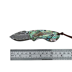 ALBATROSS Mini Pocket Knife Abalone Seashells 4.75'' Modern Damascus Steel Knife Liner Lock Folding Knife Gift Box - HGDK013B