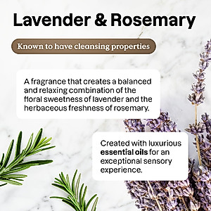 ATTITUDE Dish Soap, EWG Verified, Plant and Mineral-Based Ingredients, Vegan and Cruelty-free Household Products, Lavender and Rosemary, 67.6 Fl Oz