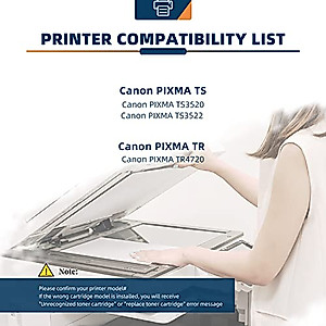 Ankink 275XL Remanufactured Ink Cartridge Replacement 275 Black XL PG275 for Canon PG-275 Compatible with Canon PIXMA TS3520 TS3522 TS3500 TR4720 TR4700 Printers (2 Pack)