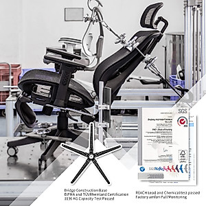 HOMESTOOL Office Chair Ergonomic Desk Chair with 2-axis Adjustable Lumbar Support, Carbon Fabric Mesh Chair PC Computer Chair High Back Office Chair with Waterfall Seat 330lbs Capacity Black