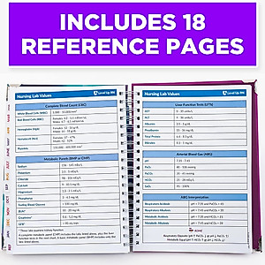 Nursing School Study Planner - Nursing Student Gifts - Fall/Spring Academic Year - Dates Start August 1, 2023 & Ends August 31, 2024