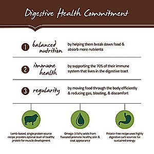 Holistic Select Natural Dry Dog Food, Lamb Meal Recipe, 30-Pound Bag