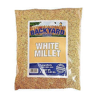 Backyard Seeds White Millet Bird Seed for Finches 8 Pounds (8 Pounds)