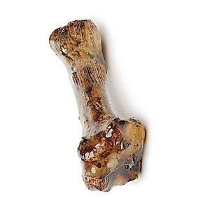All Natural Buffalo Shoulder 12 Inch Big Dog Bones Meaty Dental Chew Health (2 Bones)