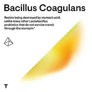 Thorne Bacillus Coagulans Probiotic - Shelf Stable Probiotic Supplement to Promote GI Health - 60 Capsules