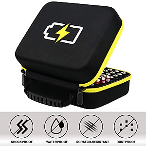 FCDYLBD Battery Organizer Case- Hard Storage Box Bag Holder - Holds 60+ Batteries AA AAA C D 9V Tester BT-168 (Batteries are Not Included)