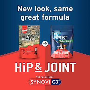 Pet Protect from The Makers of Advantage Vet-Formulated Hip & Joint Supplement for Dogs | 60 Chews