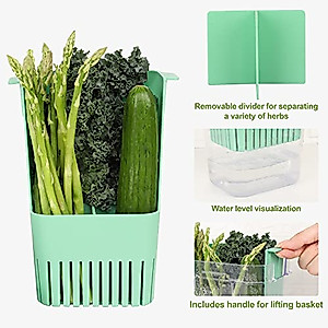 LUVCOSY Herb Keeper Set: 2 Pack Herb Saver+1 Pack Herb Scissors+2 Pack Herb Stripper, BPA-Free Plastic Herb Container for Cilantro, Mint & Asparagus, Keeps Fresh Herbs for 3 Times Longer