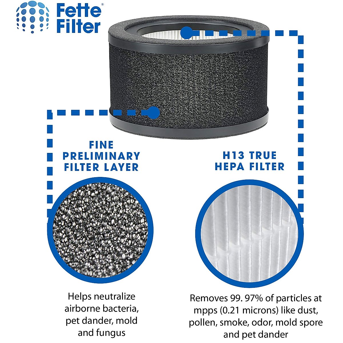 Fette Filter -Pack of 2 Replacement Air Purifier True HEPA Filters with Pre Filter Layer Compatible with Germ Guardian FLT4200 Filter L for GermGuardian Air Purifer Model AC4200W