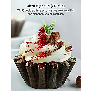 RALENO 2 Packs LED Video Light and 75inches Stand Lighting Kit, CRI 95+ Photography Lighting with 8000mAh Built-in Battery & LCD Display, Studio Lights for TikTok, YouTube, Live Streaming, Videography