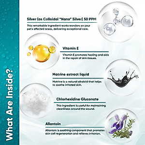 Silver Pet Wound Spray | Dog Wound Spray | Cat Wound Spray | Horse & Chicken Wound Spray + Chlorhexidine | Cat & Dog Itch Spray | Wound Spray for Cats | Wound Spray for Dogs, Cats, Horses | 4 oz