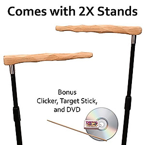 Parrot Training Perch Kit (T Perch, XL)