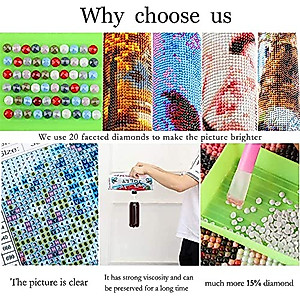 5D Diamond Painting Kits for Adults and Kids, Rhinestone Diamond Arts Kits for Beginners ， DIY 5D Diamond Painting Used for Home Wall Decor Gift Moon Butterfly (14X18 inch)