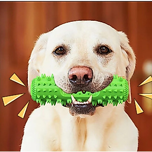 Nico's Friends Interactive Dental Toy for Dogs – Squeaky Puzzle to Clean Teeth and Promote Oral Health – Perfect for Small, Medium, and Large Breeds.