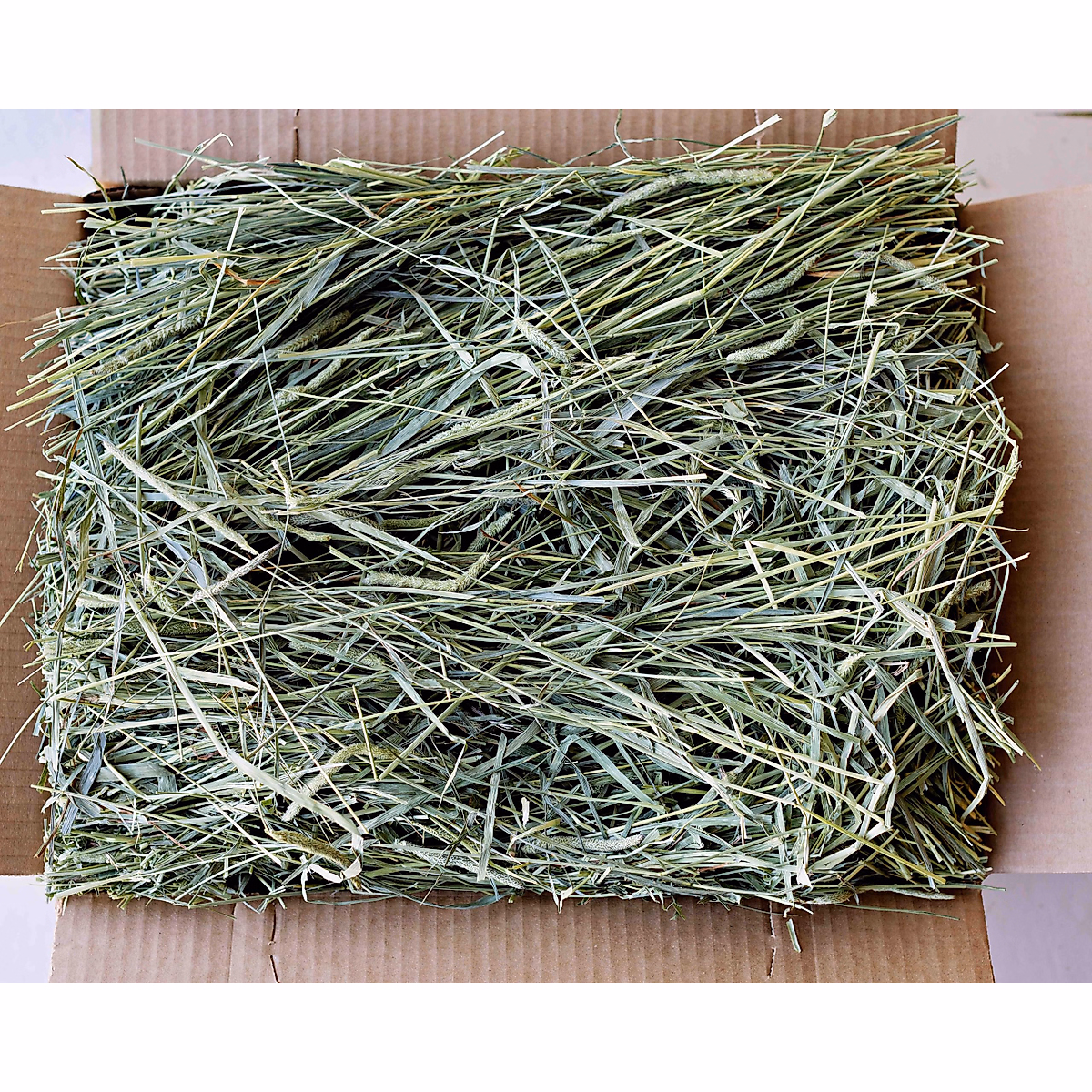 Viking Farmer 1st Cut Timothy Hay, 5 Lbs