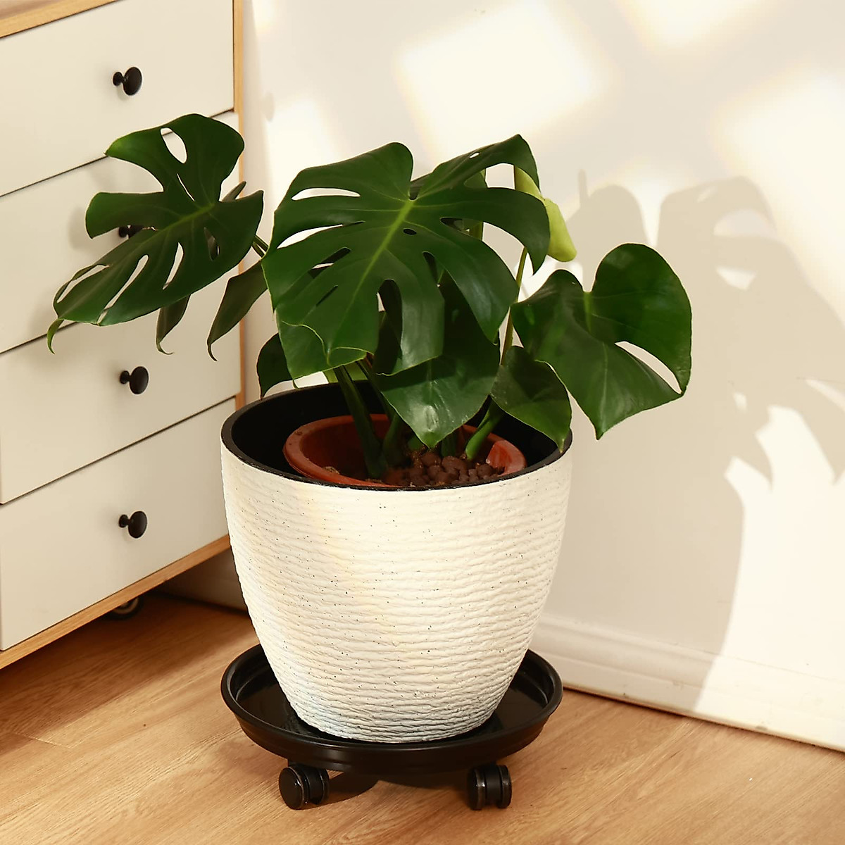 8 Packs Large Plant Caddy with PU Wheels 12" Rolling Plant Stands Heavy-duty Plastic Plant Roller Base Pot Movers Plant Saucers on Wheels Indoor Outdoor Plant Dolly with Casters Planter Tray Coaster